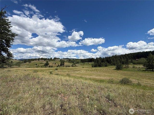 42 Tedesco Rd Lot 4, Republic, WA 99166