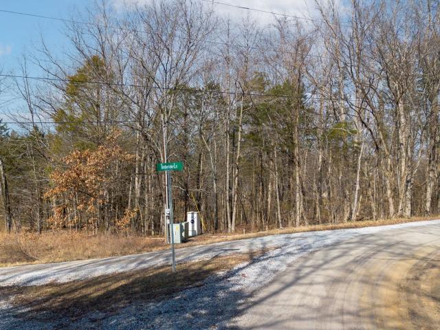 42 Timber Lake Ln, Waverly, TN 37185 | MLS #3133