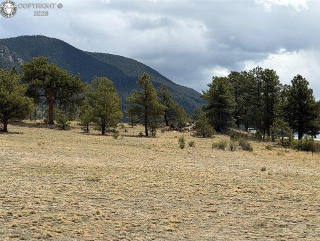 42 Turner Gulch Rd, Hartsel, CO 80449