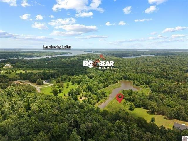 42 Valhalla Ln, Benton, KY 42025