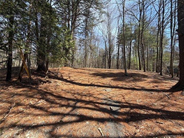 42 Yorkville Park Rd, Bloomingburg, NY 12721