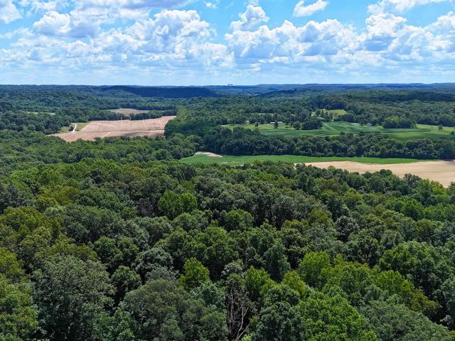 42 Acres 8669 Bird Lane