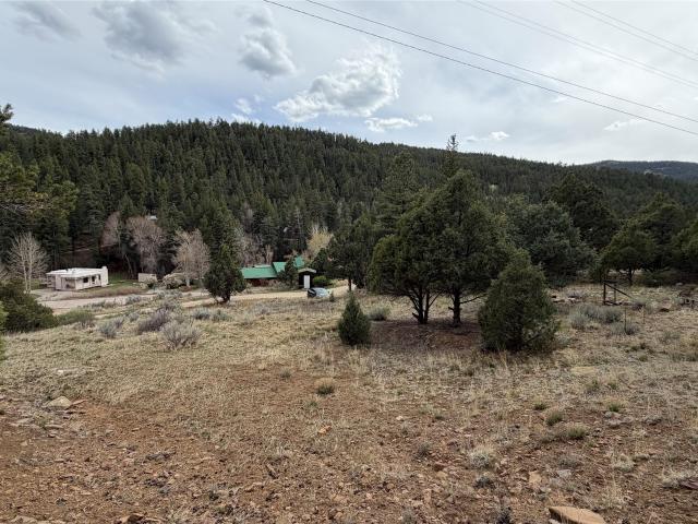 42 Acres Taos Canyon