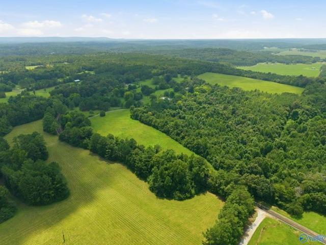 42 Acres Kenny Clay Rd, Somerville, AL 35746