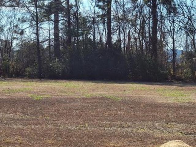 42 and 42A Whichards Beach Rd Lots 42 & 42A, Chocowinity, NC 27817