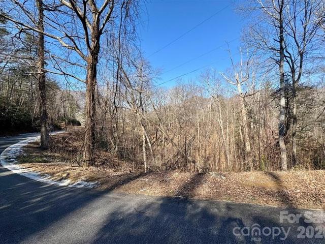 42 Asa Gray Dr, Lake Lure, NC 28720