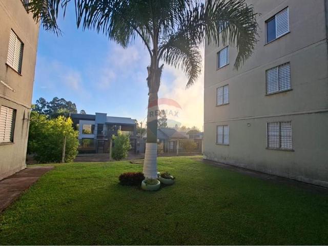 42 Área Útil Apartamento Alugar, 2 Dormitórios localizado em Vila Cruzeiro, Passo Fundo, Rio Grande do Sul, 99070670 | Brasil