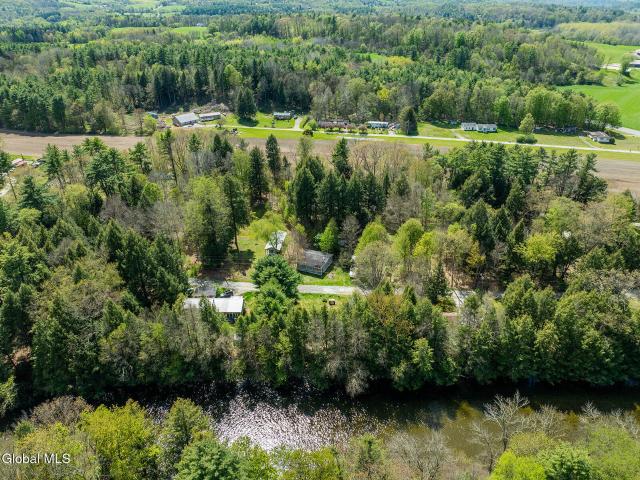42 Battenkill Evergreens