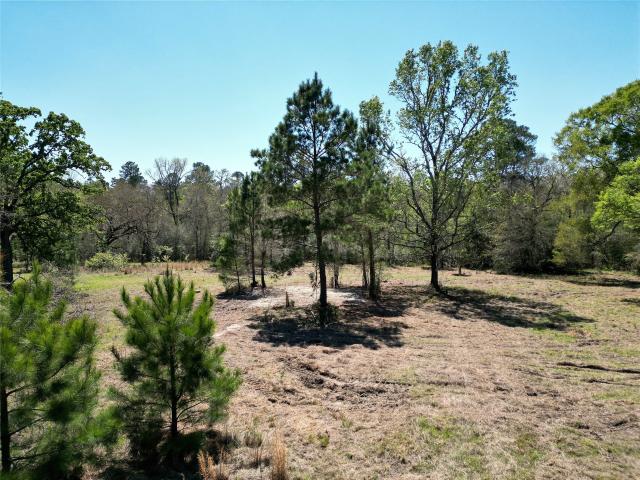 42 Brumley St, Huntsville, TX 77320 | MLS #91677 | Compass
