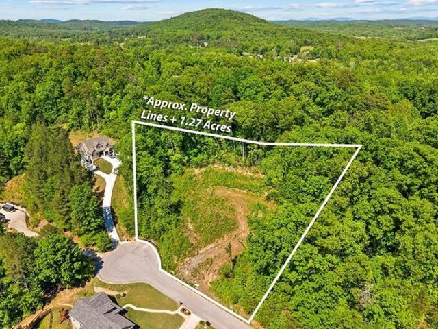 42 Canoe Cv Lot 35, Ringgold, GA 30736