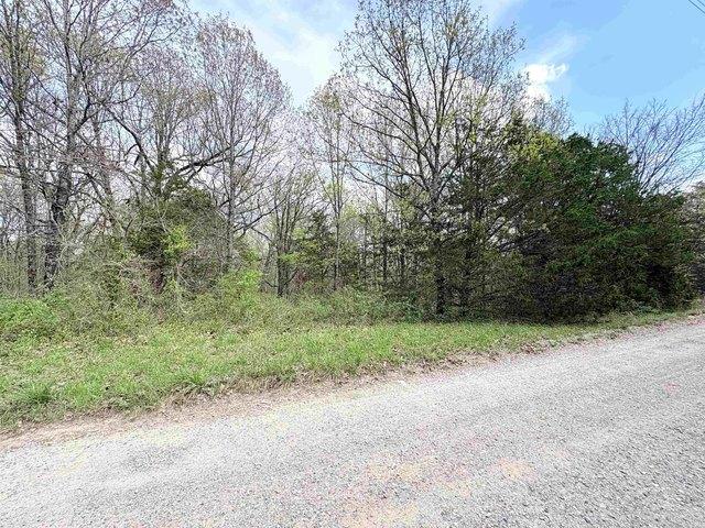42 Clay 43 Rd, Corning, AR 72422