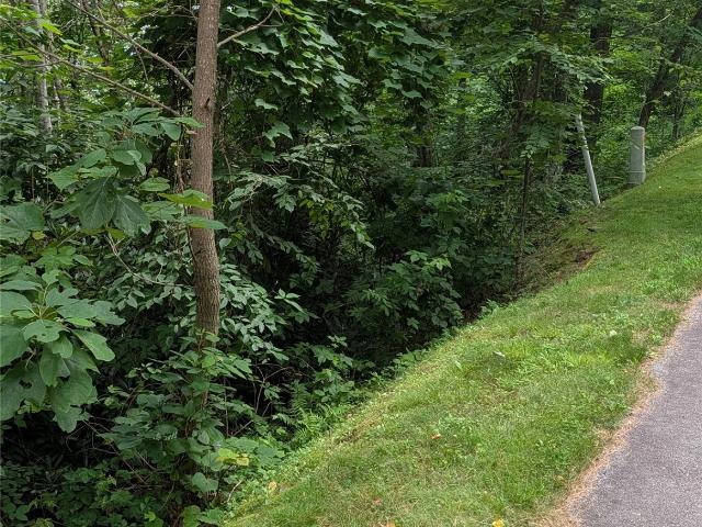 42 Greycliff Mountain Drive