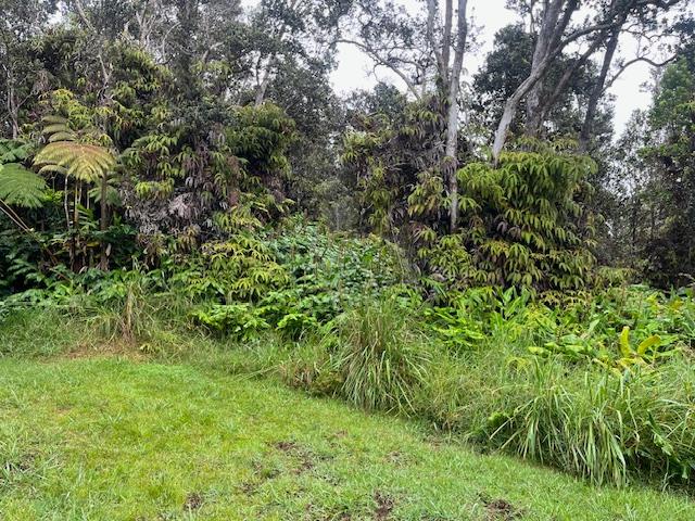 42 Lot, Volcano, HI 96785 | MLS #725020