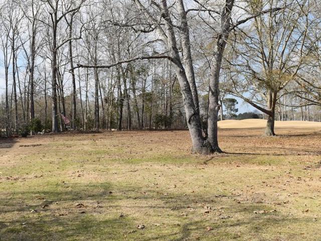 42 N Lake Cir, Manning, SC 29102