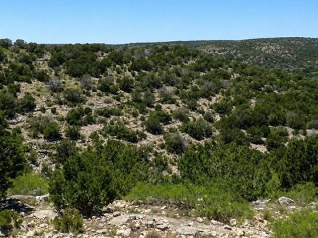 42 Rock Rdg, Del Rio, TX 78840
