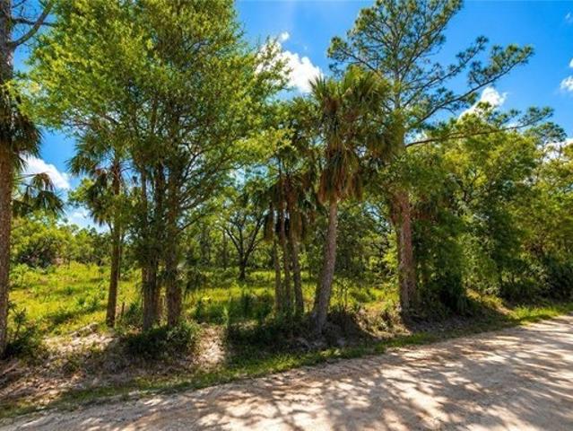 43051 Farabee Rd, Punta Gorda, FL 33982