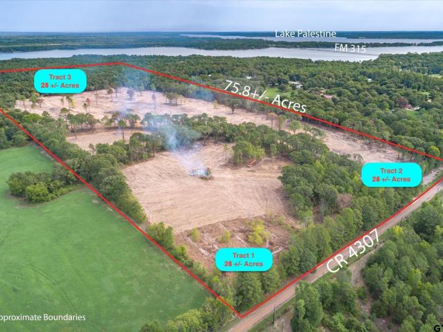 4307 County Road 4307, Larue, TX 75770 | MLS #25009