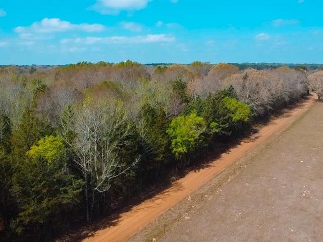 4308 Reno Rd, Naples, TX 75568 | MLS #21240
