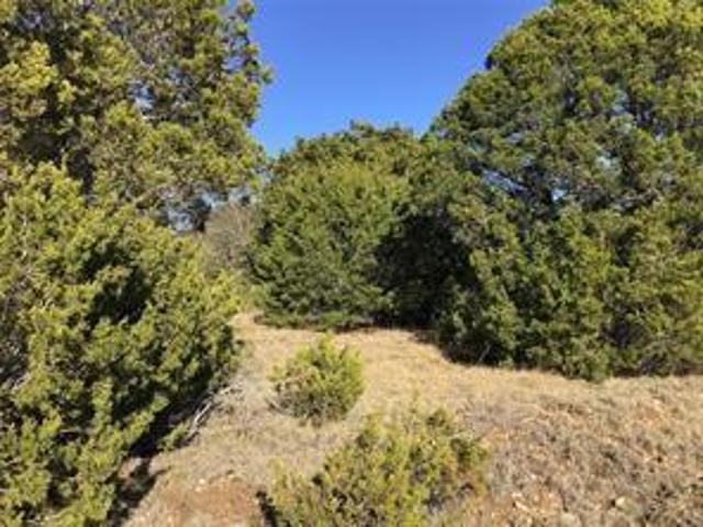 43094 Indian Blanket Drive