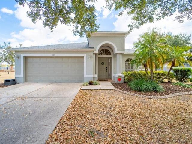 4309 Balington Dr, Valrico, FL 33596