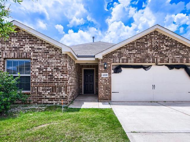 4309 Cat Tail Way
