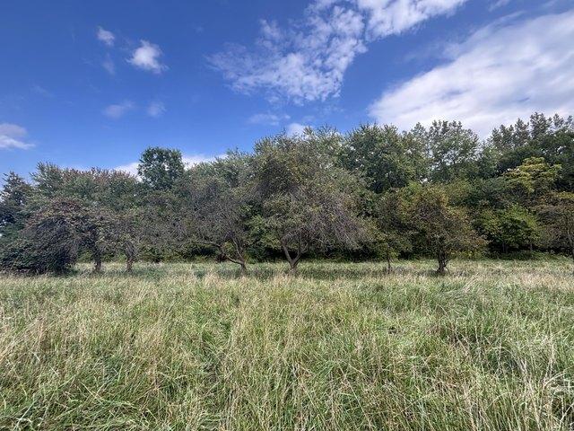 4300 Roosevelt Pl, Gary, IN 46408
