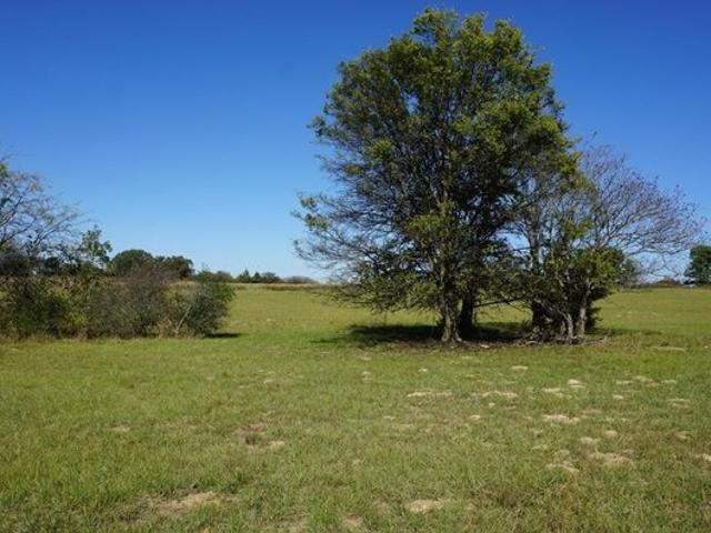 4301 Plainview Dr, Naples, TX 75568
