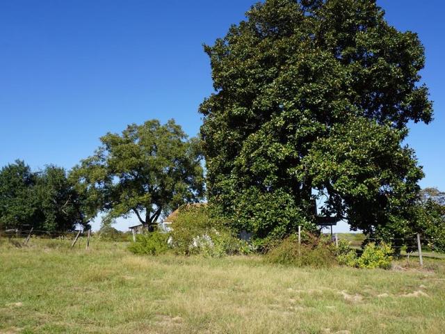 4301 Plainview Rd, Naples, TX 75568 | MLS #21115 | Compass
