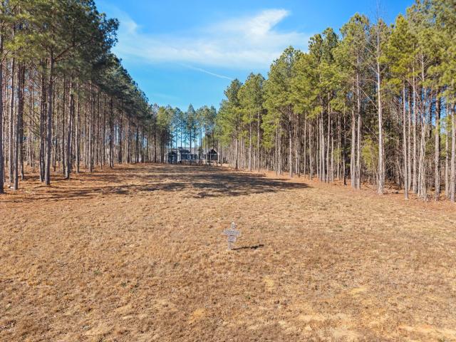 430 Crockett Loop