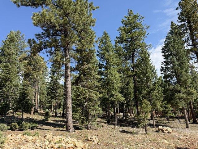 430 E Whispering Pines Dr, Duck Creek Village, UT 84762