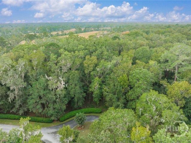 430 McAllister Lndg, Richmond Hill, GA 31324