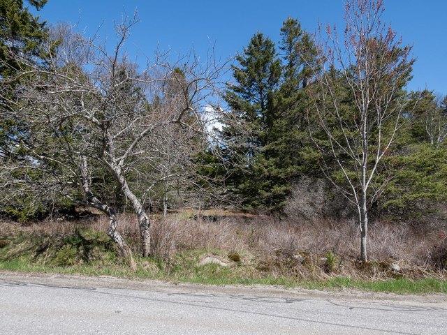 4/30 M/L Rd N, Swans Island, ME 04685