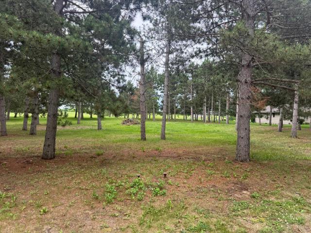 430 Thumper Lodge Road