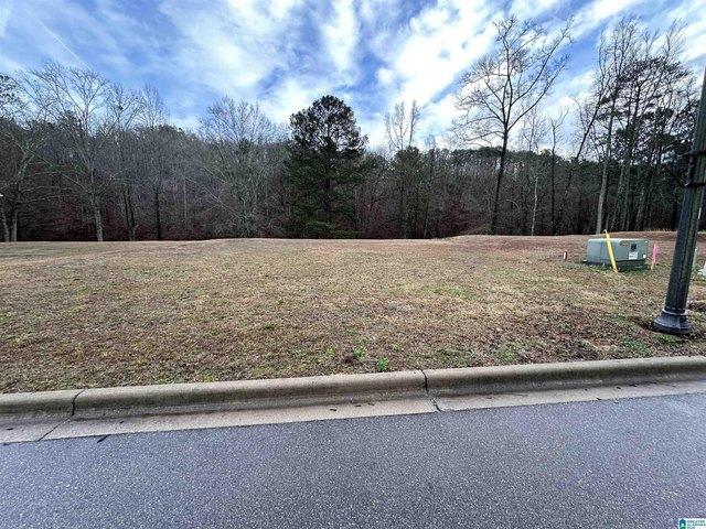 4315 Cahaba Bnd Lot 232, Trussville, AL 35173