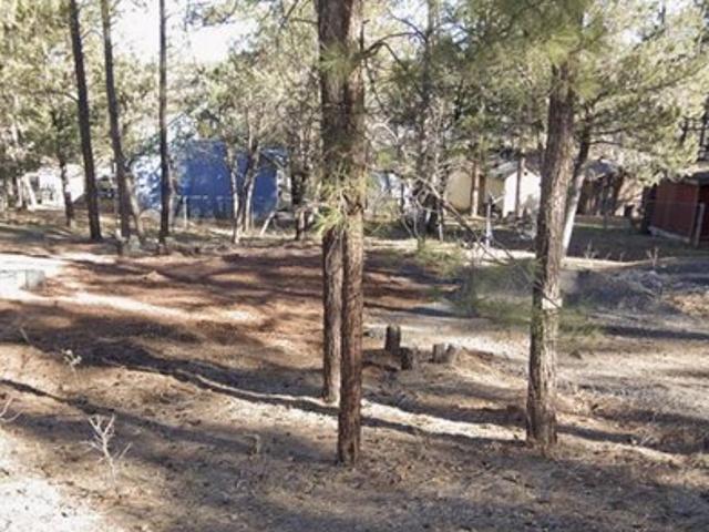 4317 Antelope Ln Unit 74, Show Low, AZ 85901