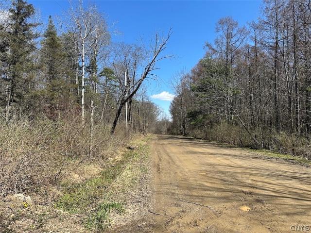 4319 Steenrod Rd, Friendship, NY 14739 | MLS #S1673