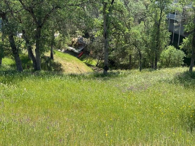 4319 Tomahawk Trail, Copperopolis, CA 95228 | MLS #226033