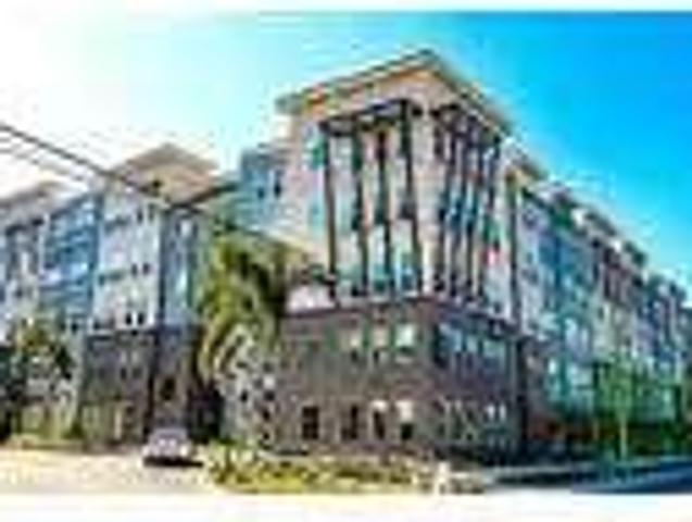 4310 W Spruce St #312, Tampa, FL 33607