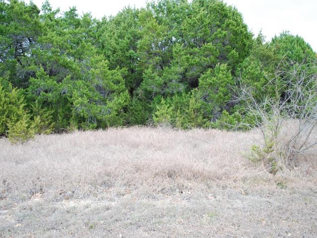43111 Indian Blanket Drive