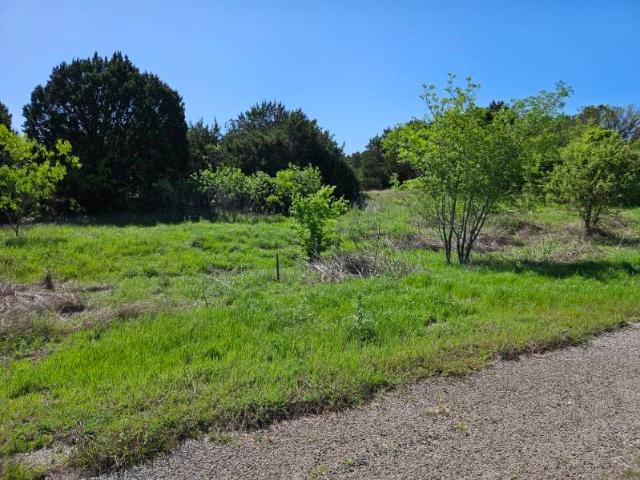 43136 Lantana Dr, Whitney, TX 76692 | MLS #18812