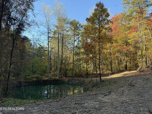 431 and 425 Smokey Rd, Rutledge, TN 37861