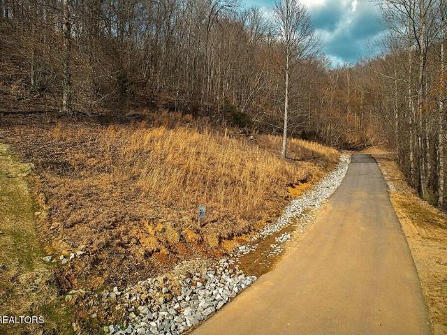 41B Bald Eagle Rd
