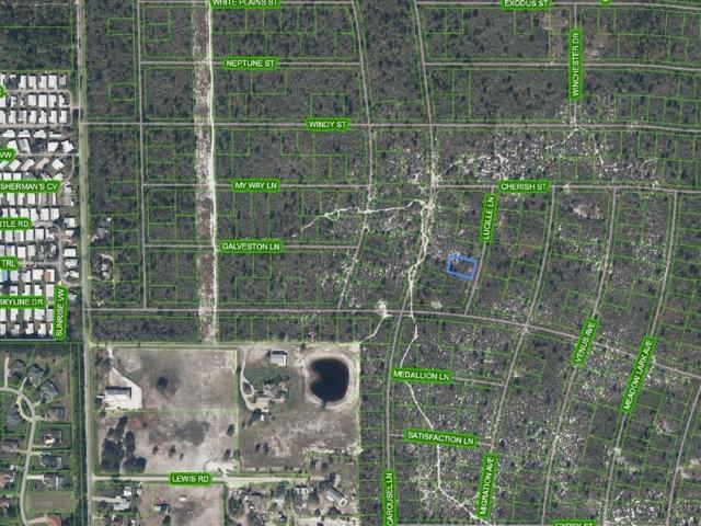 431 Lucille Ln Lake, Placid, FL 33852 | MLS #A11909