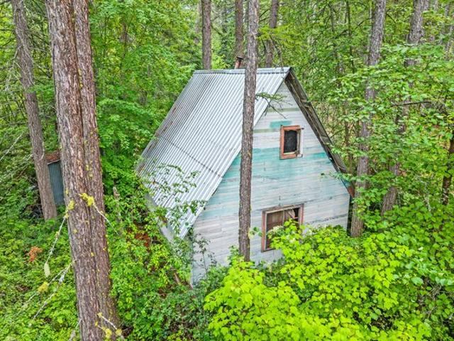 432X Old Bussard Lake Rd, Loon Lake, WA 99148