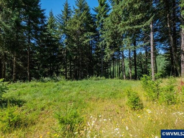 432 Chamberlain Rd, Falls City, OR 97344
