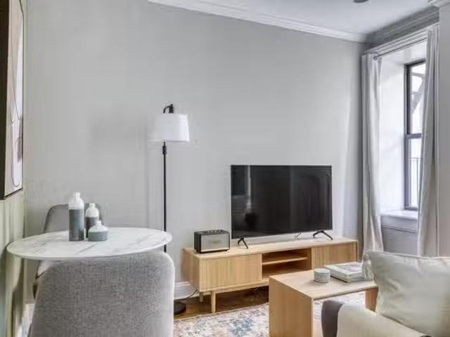 432 E 13th St, Ukrainian Village 1 Bedroom 1 Bath
