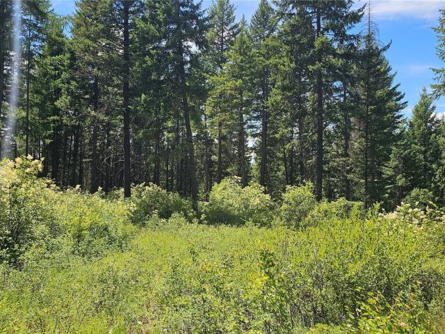 432 X Bussard Lake Road
