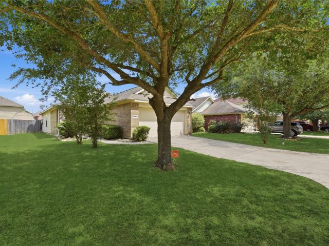 4335 Plumeria Avenue
