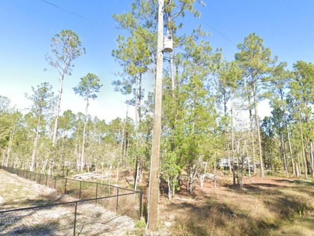 4335 Theresa St, Hastings, FL 32145 | Compass