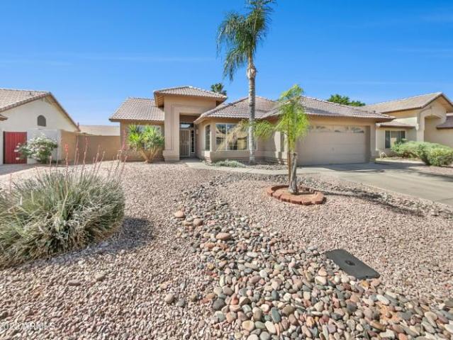4337 E Encinas Ave, Gilbert, AZ 85234